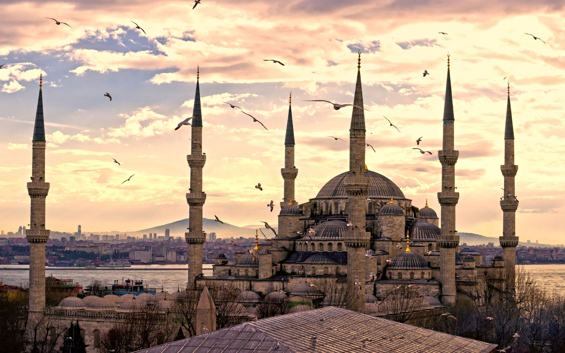 24 Hours in Istanbul - Qatar Survival Guide