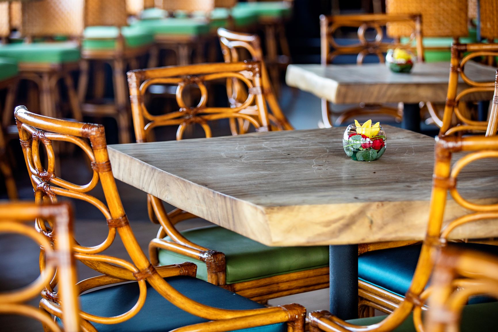 The ultimate guide to the best sushi in Doha - Qatar Survival Guide